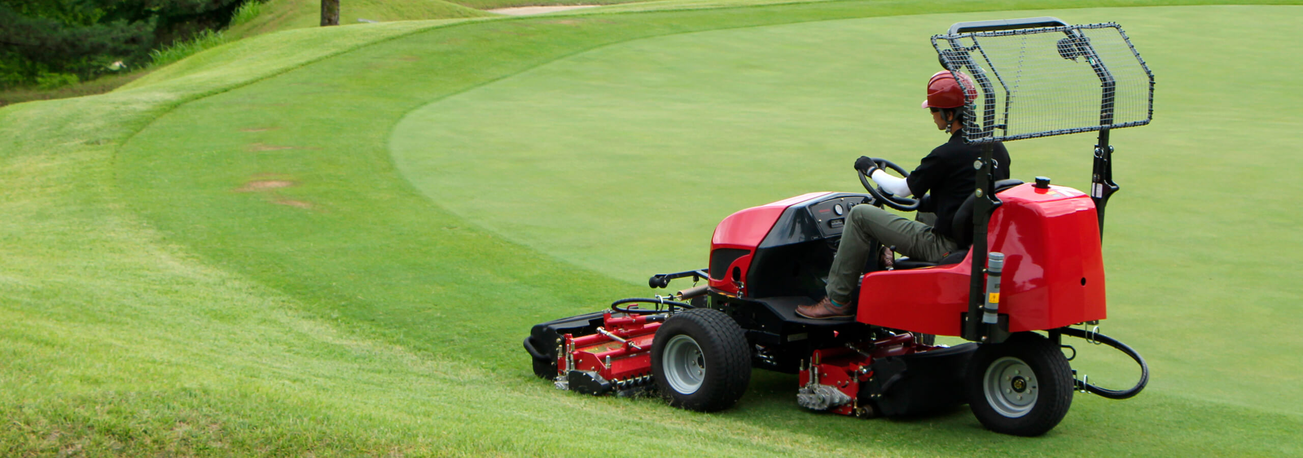 LM331 Surround & Trim Mower